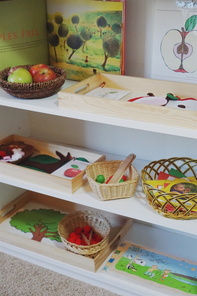 ciclo de vida de la manzana