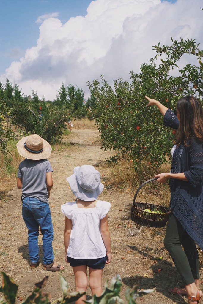 Aprendiendo con Manzanas