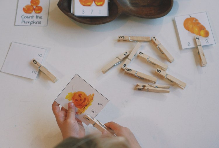 Aprendiendo con Calabazas