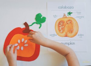 Aprendiendo con Calabazas